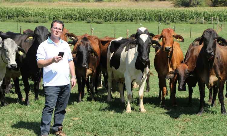 Nas fazendas de Minas, 94% dos produtores rurais usam celular ...