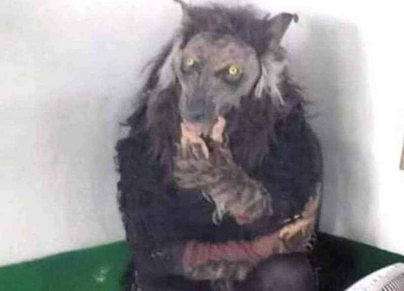 Lobisomem no Sul de Minas? Moradores comentam suposta prisão e PM ...