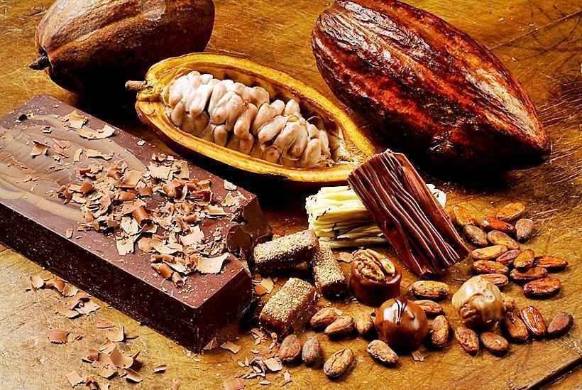Chocolate da Amazônia movimenta Belém do Pará nesta semana - Turismo ...